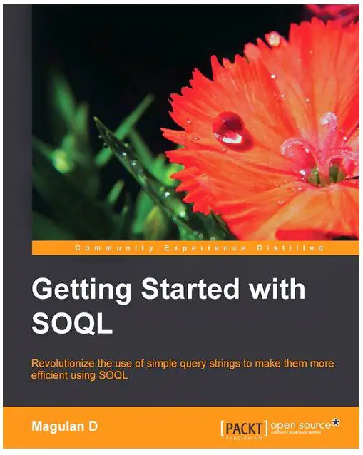 Getting Started With Soql Infallibletechie 1302